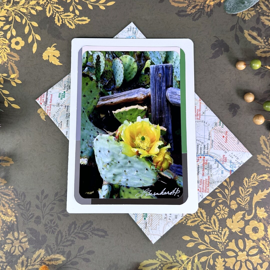 Cactus Blossom Prickly Pear Photo Greeting Card, Upcycled Map Paper ...