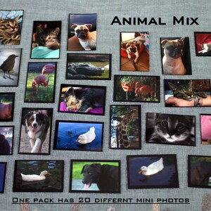 Mini Photos, Miniature Photographs, Mini Collage Pack, DIY Miniature ...