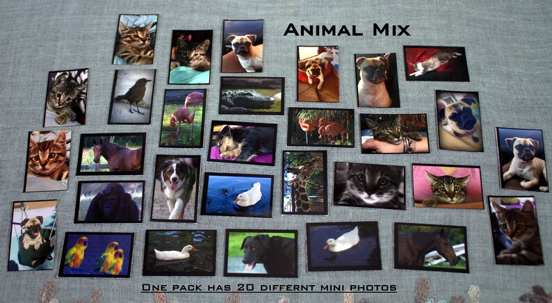 Mini Photos, Miniature Photographs, Mini Collage Pack, DIY Miniature ...