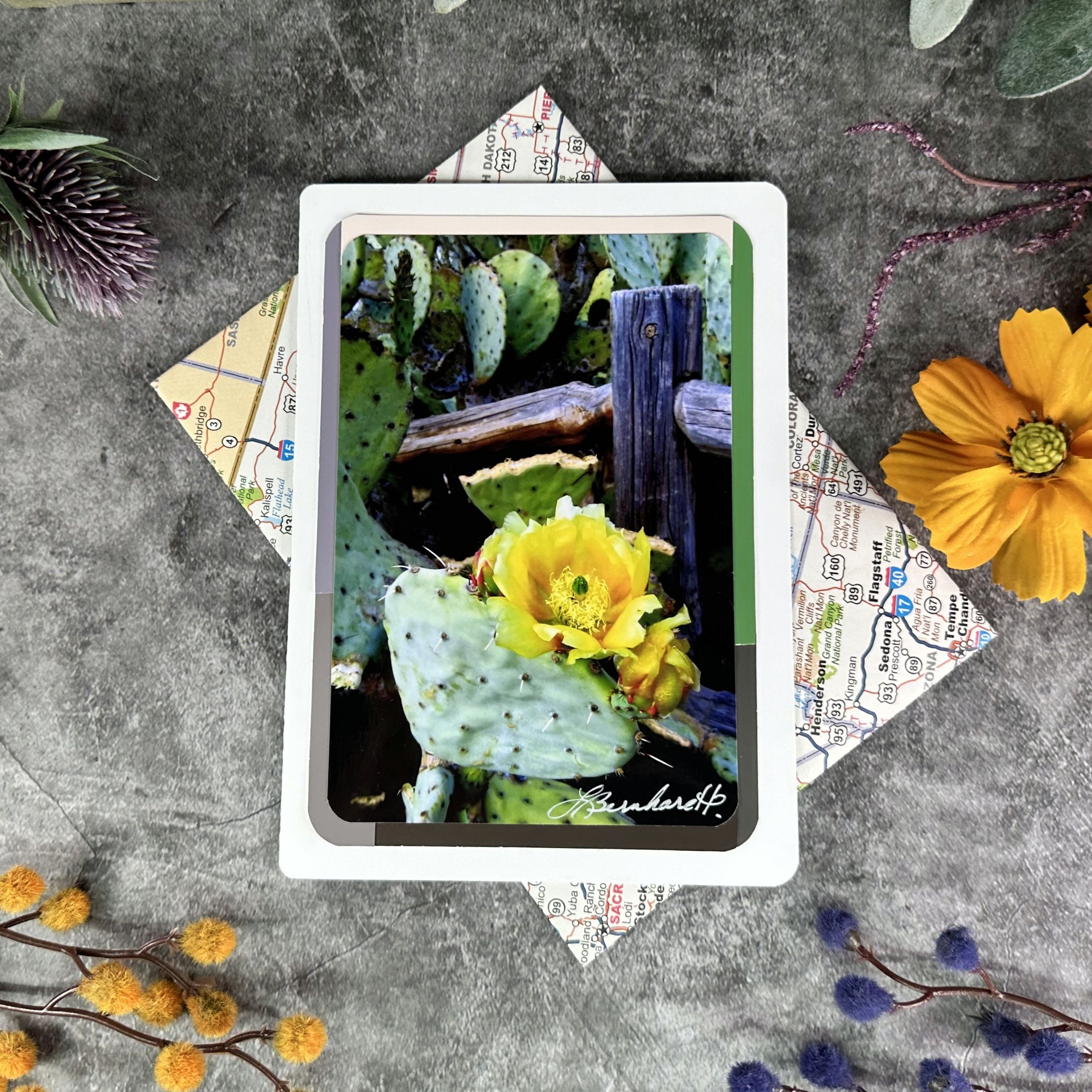 Cactus Blossom Prickly Pear Photo Greeting Card, Upcycled Map Paper ...