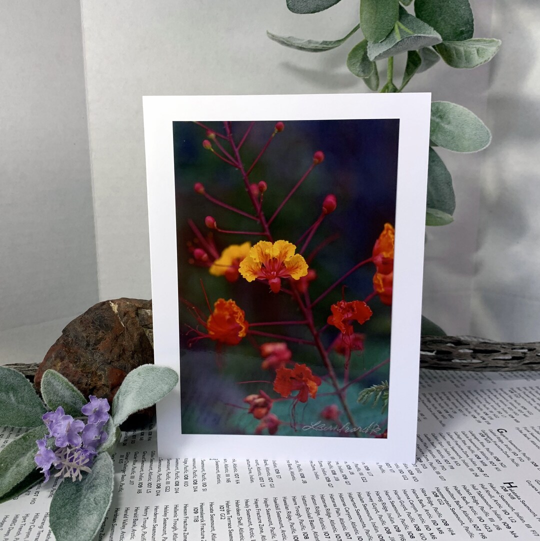 Flower Photo Greeting Cards, Colorful Mix Floral Photo Cards, Garden ...