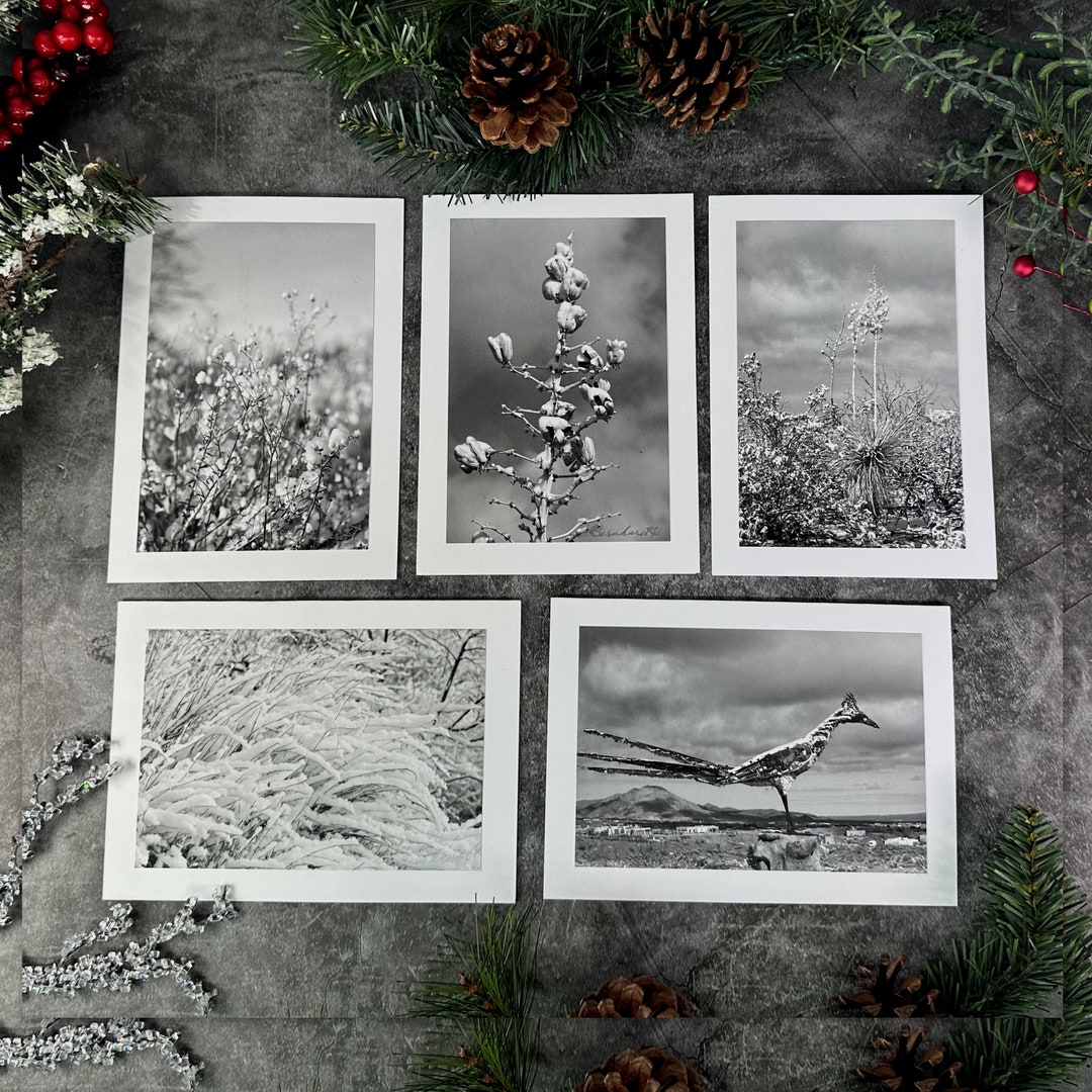 Snowy Desert Photo Greeting Cards, Handmade Envelopes, Set of 5 ...