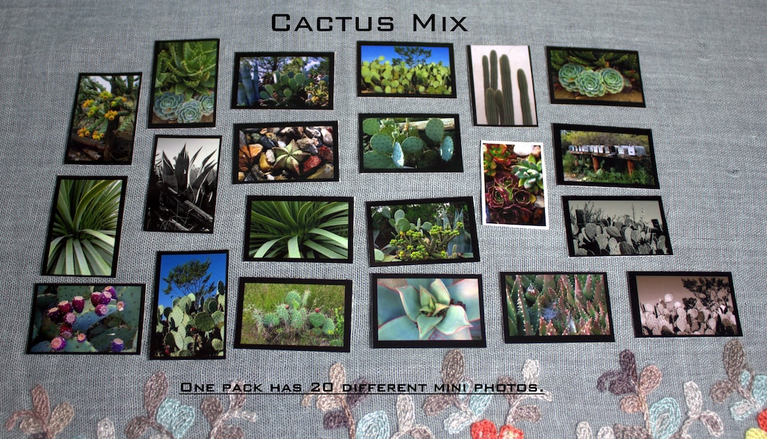 Mini Photos Miniature Photographs Mini Picture Art - Etsy