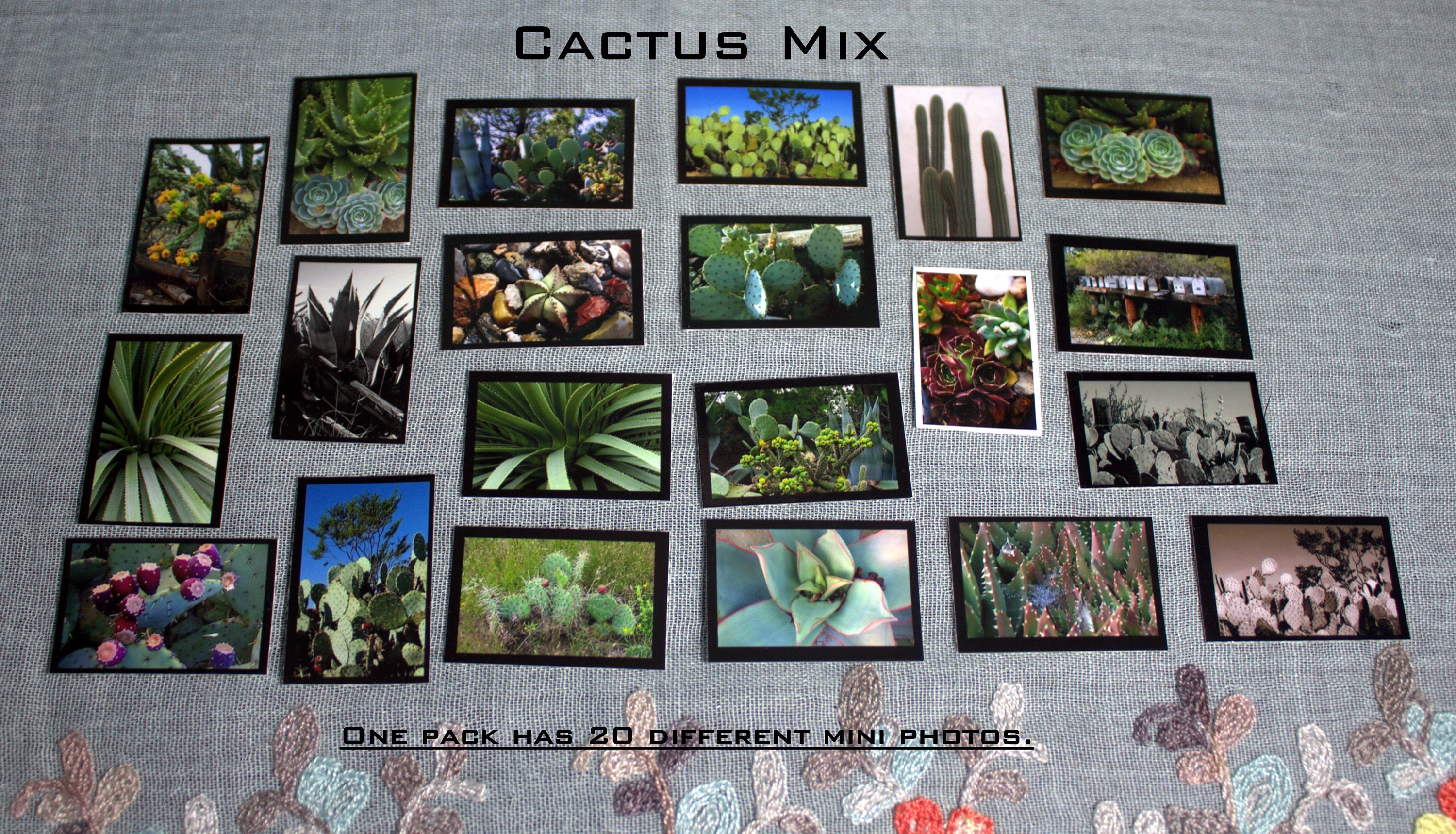 Mini Photos, Miniature Photographs, Mini Collage Pack, DIY Miniature ...