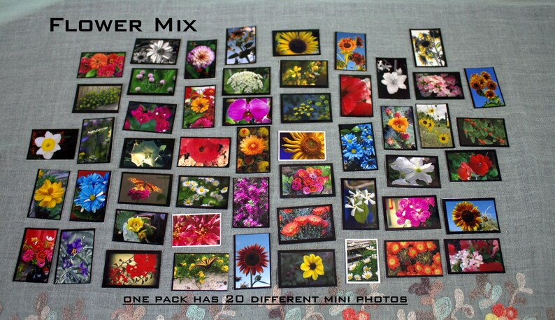 Mini Photos, Miniature Photographs, Mini Collage Pack, DIY Miniature ...