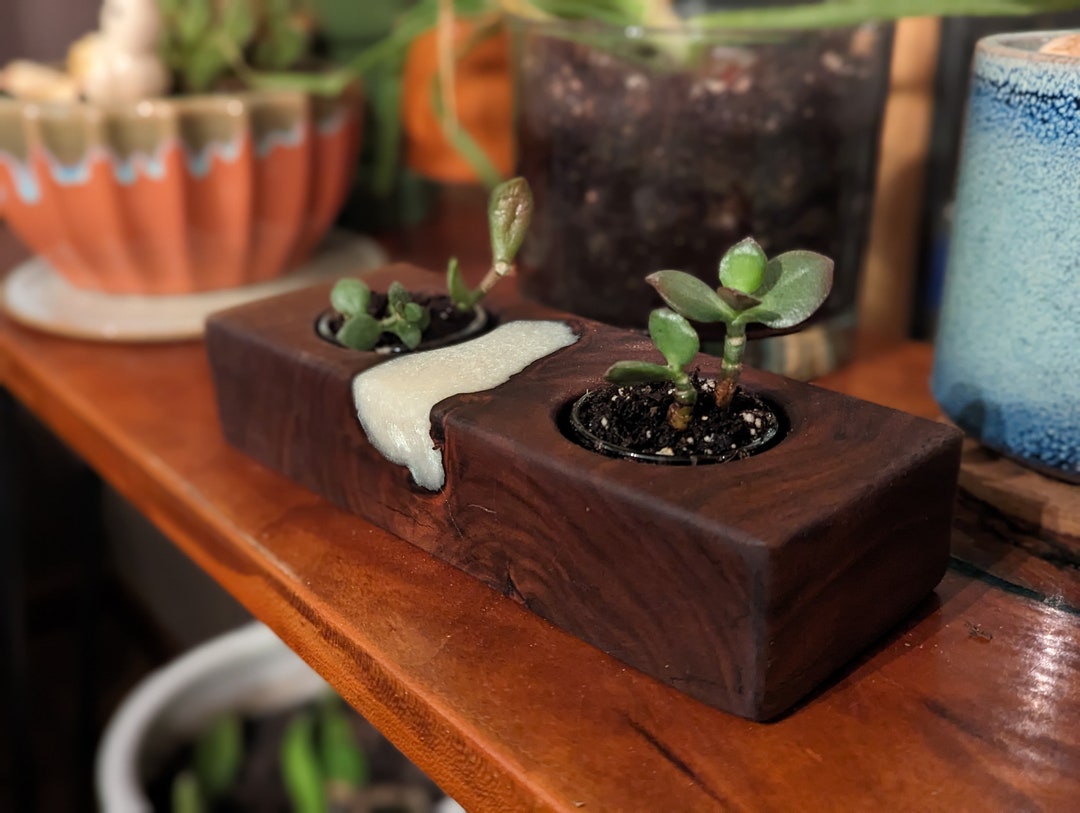 Reclaimed Wooden Succulent Planter Box, Succulent Planter Box, Planter ...