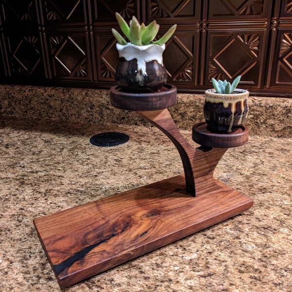 Succulent Display - Etsy