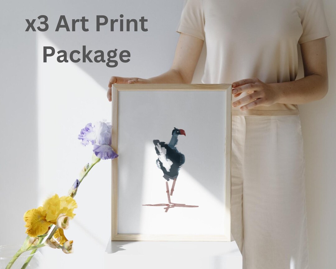 Set of 3 Pukeko Art Prints New Zealand | All Proceeds Go to Waipu ...