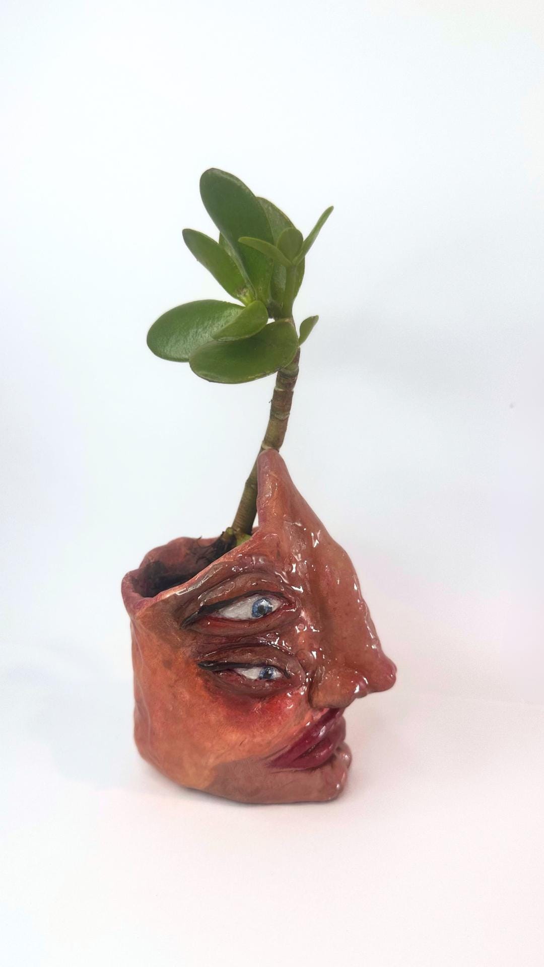 CUSTOM Human Pot Art, Creepy Art, Polymer Clay Pot, Human Face ...