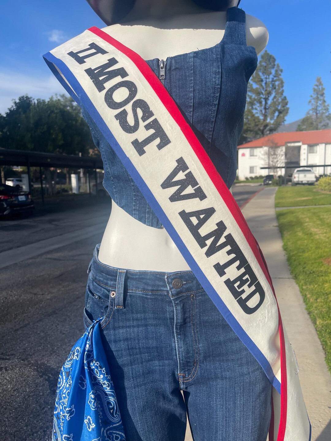 Cowboy Sash, Cowboy Carter Sash Glitter Red and Blue Sash, Bride Sash ...