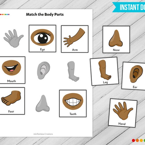 Learn and Match the Colors Printable Worksheet Busy Book - Etsy