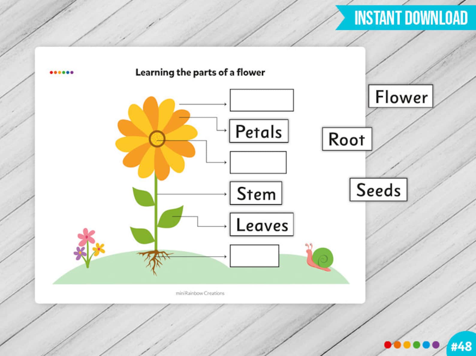 Learn the Parts of a Flower Worksheet, Science Worksheet, Busy Books ...