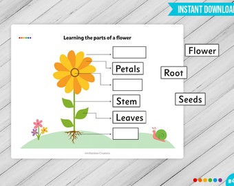 Personalized Name Tracing Printable Worksheet Learning - Etsy