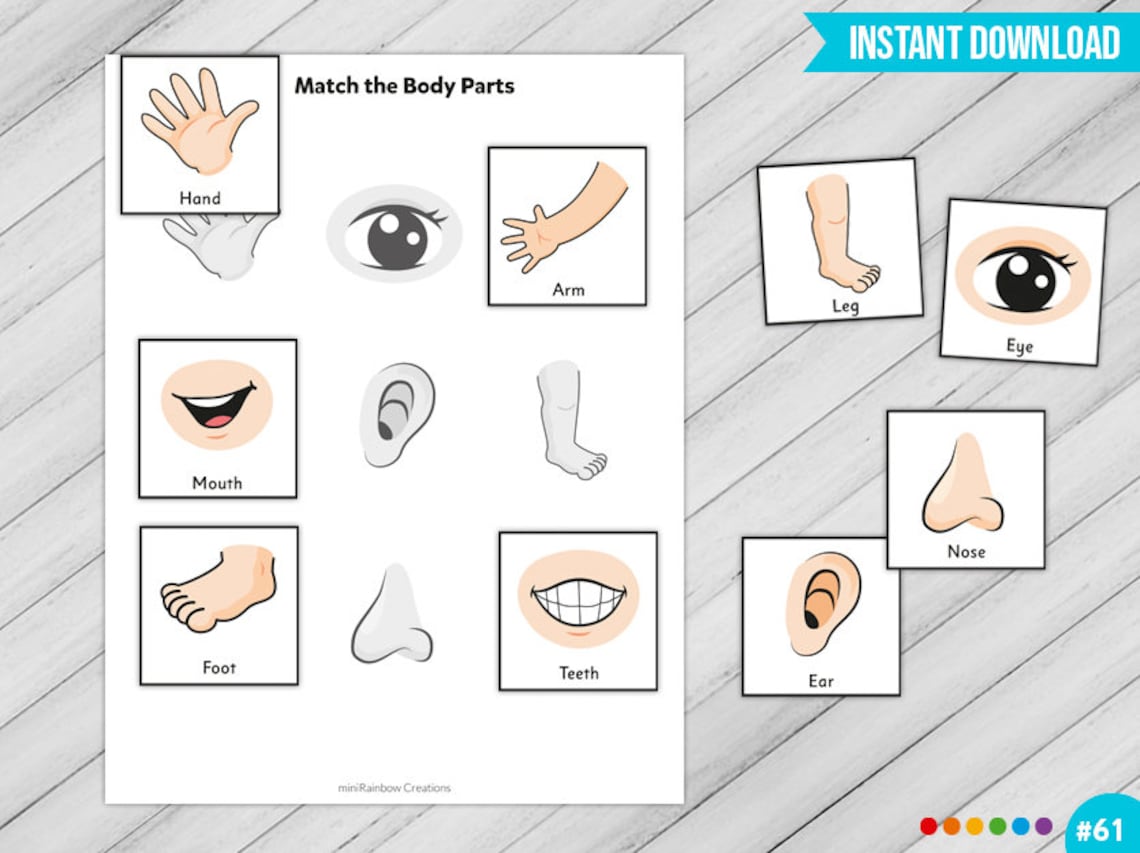 Match the Body Parts Printable Worksheet, Busy Book, Educational Games ...