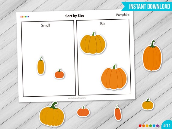 Sort by Size Printable Worksheet Homeschool Activities Busy | Etsy