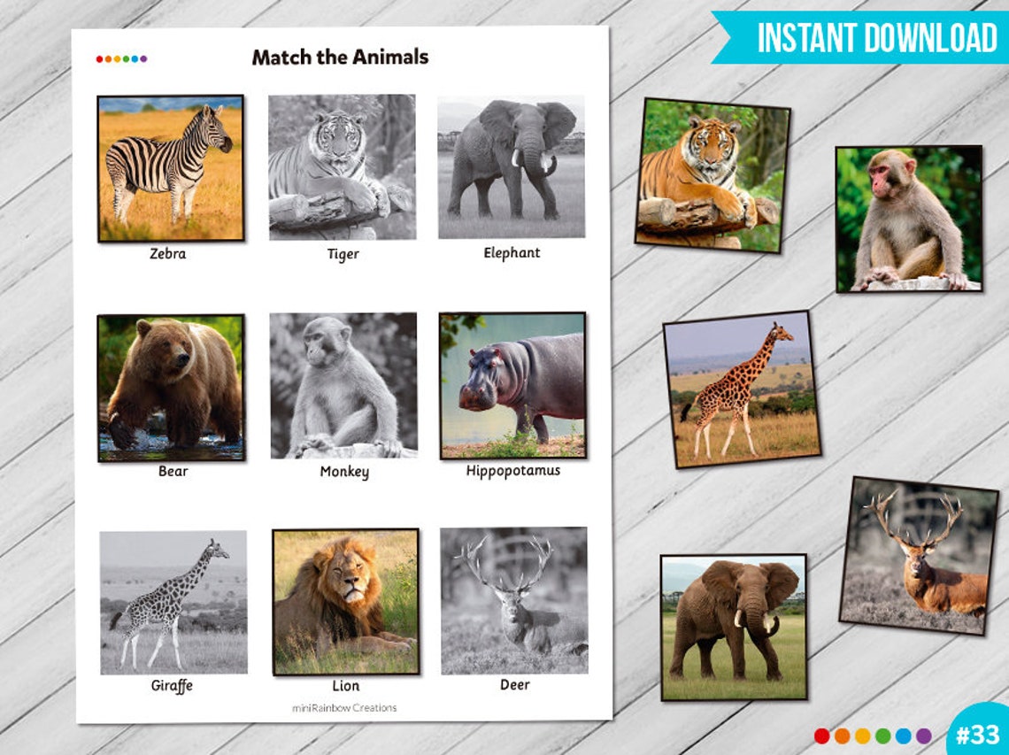 Match the Animals Printable Worksheet, Homeschool Activities, Matching ...