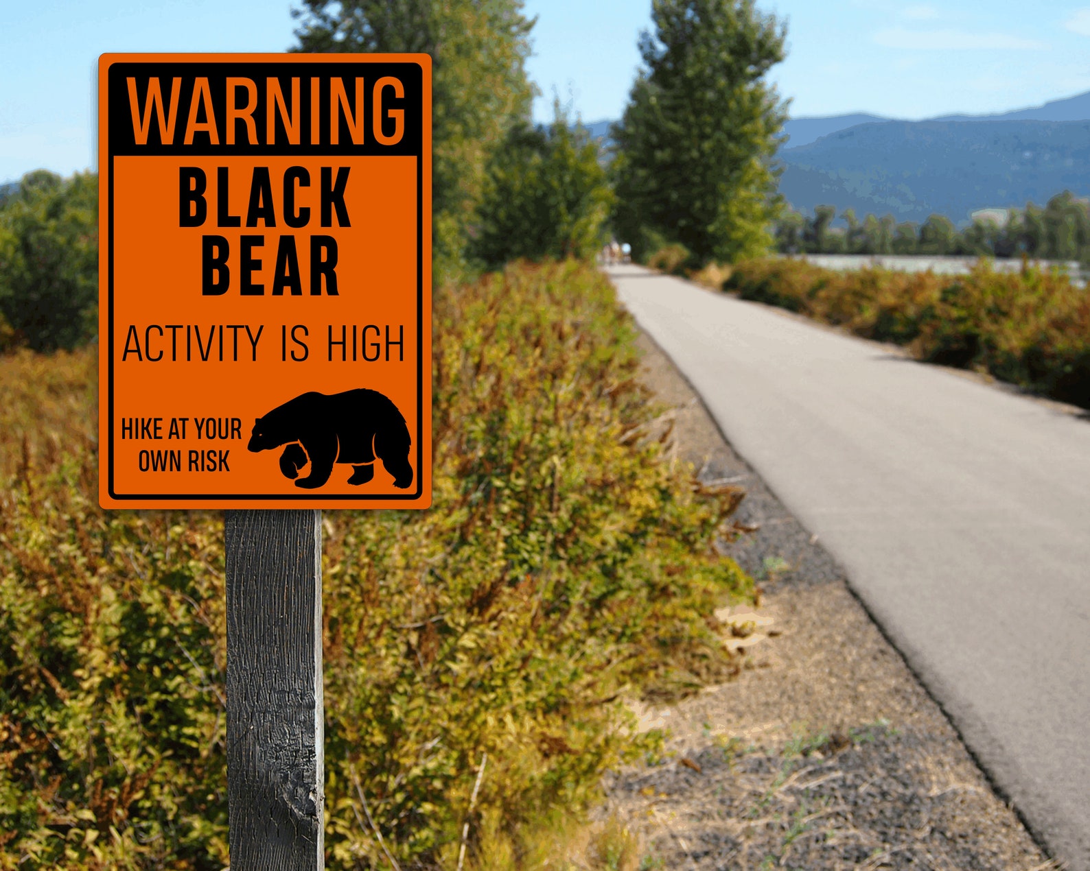 Metal Grizzly Bear Activity Warning Caution Wall Sign Outdoor Etsy metal-grizzly-bear-activity-warning-caution-wall-sign-outdoor-etsy
