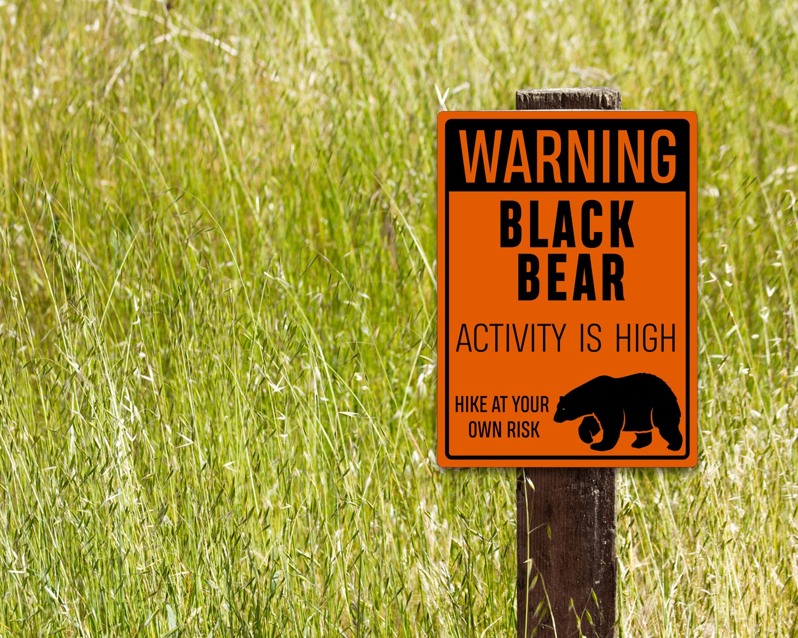 Metal Grizzly Bear Activity Warning Caution Wall Sign Outdoor Etsy metal-grizzly-bear-activity-warning-caution-wall-sign-outdoor-etsy
