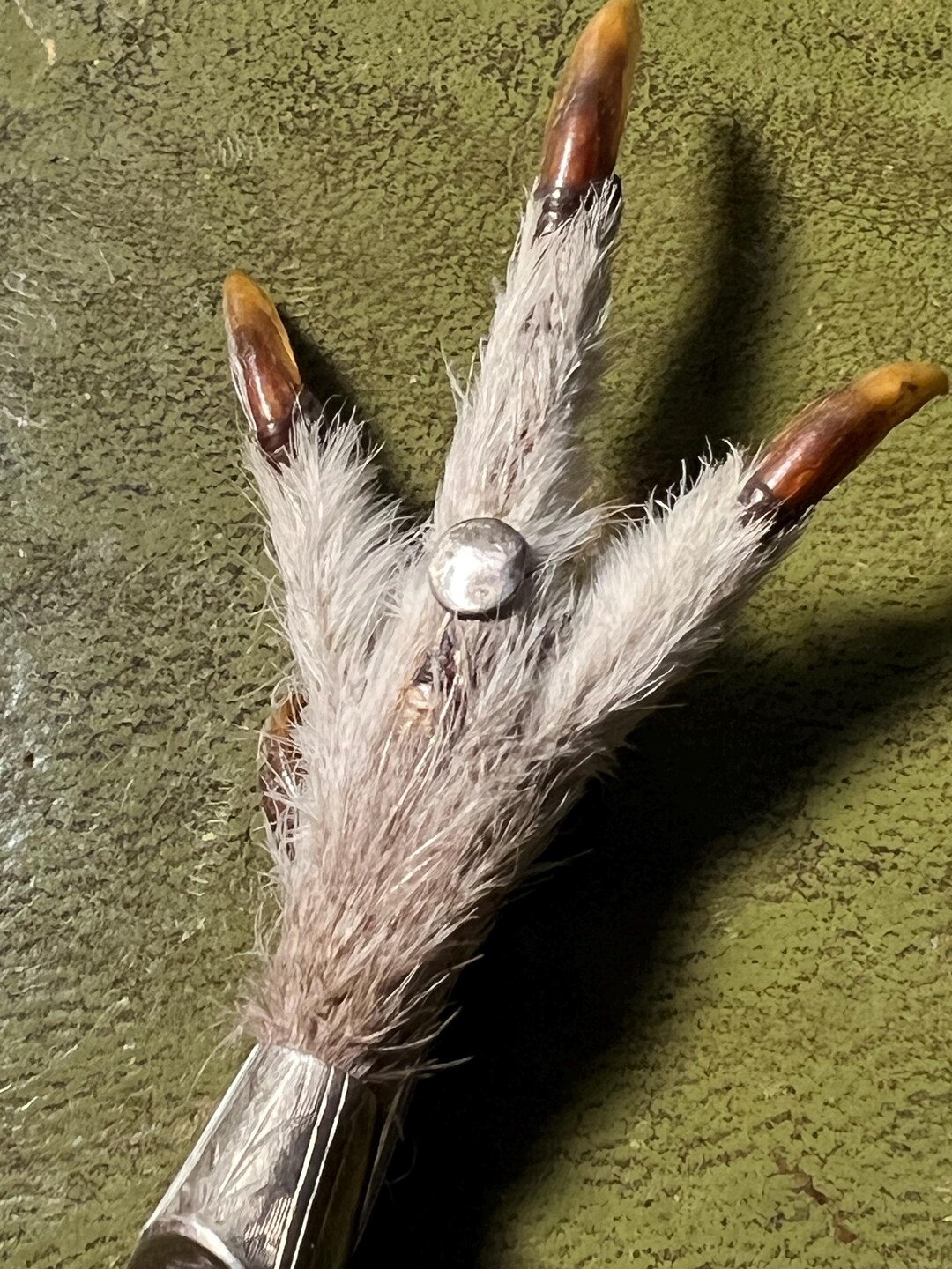 Semin Hairy Grouse Foot Brooch - Etsy