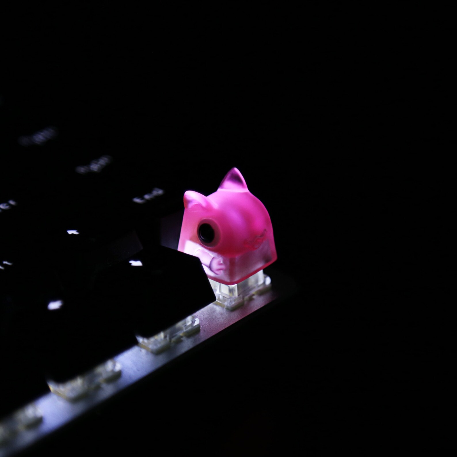 Artisan Keycap Jelly Cat Keycap Personalized Gift - Etsy