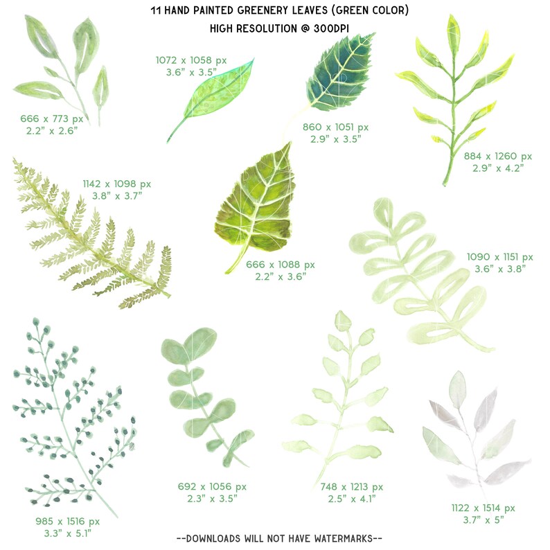 Lovely Watercolor Greenery, Greenery Frames, Foliage, Wedding Greenery ...