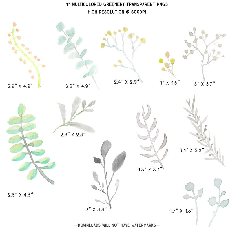 Luscious Watercolor Greenery, Greenery Frames, Foliage, Wedding ...