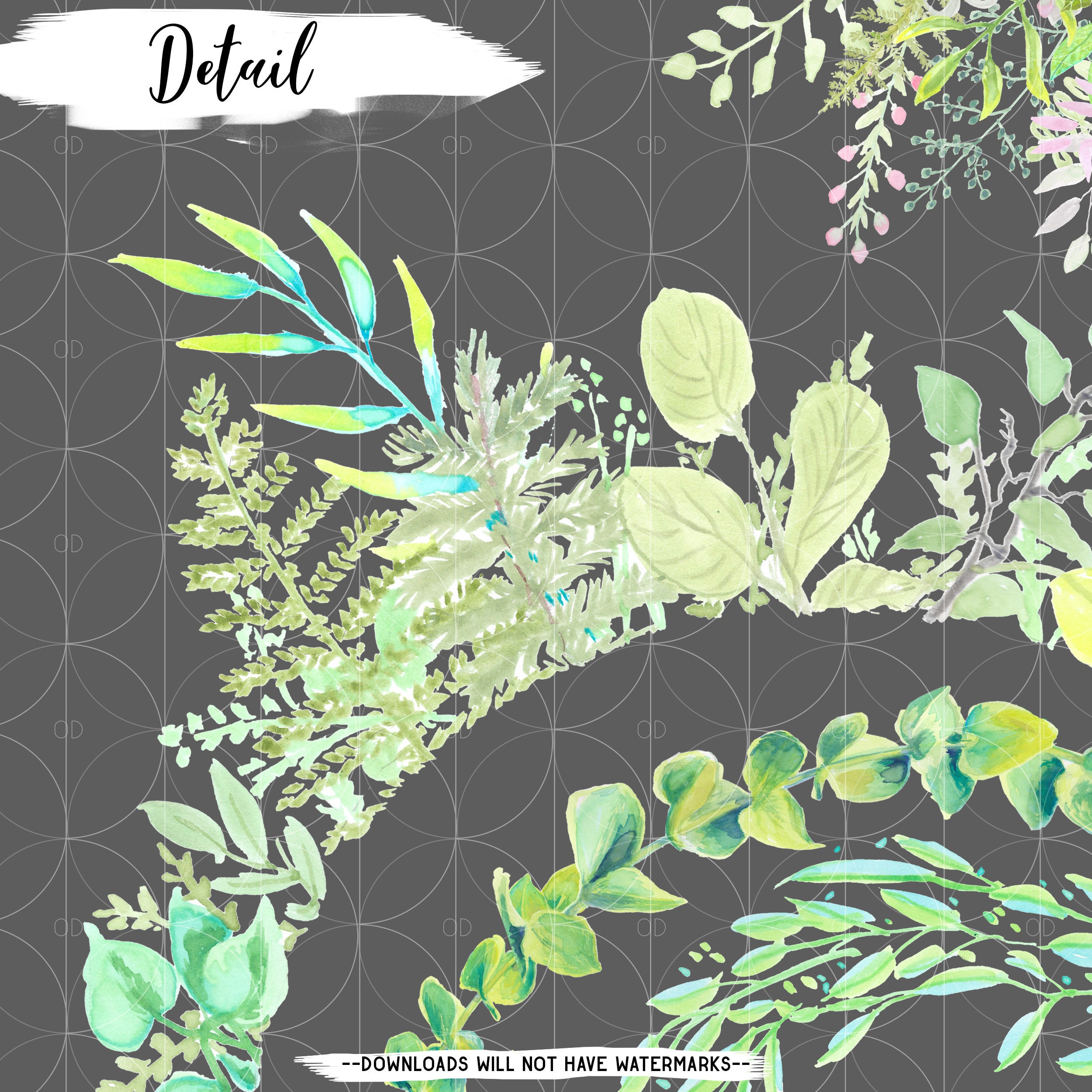 Lovely Watercolor Greenery, Greenery Frames, Foliage, Wedding Greenery ...