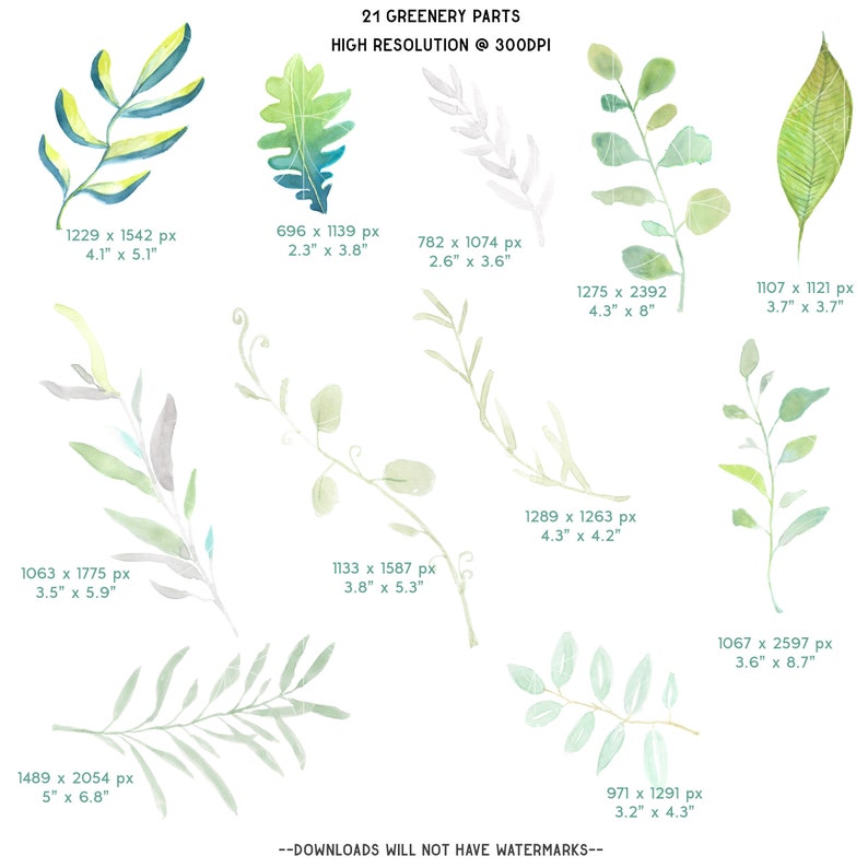 Delicate Watercolor Greenery, Greenery Frames, Foliage, Wedding ...