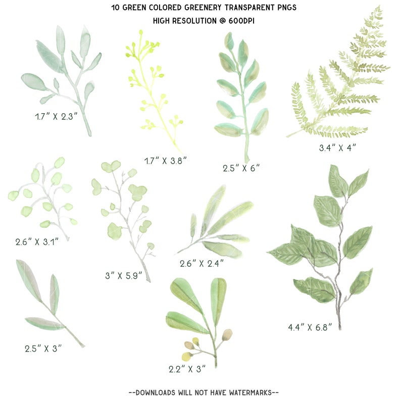 Luscious Watercolor Greenery, Greenery Frames, Foliage, Wedding ...