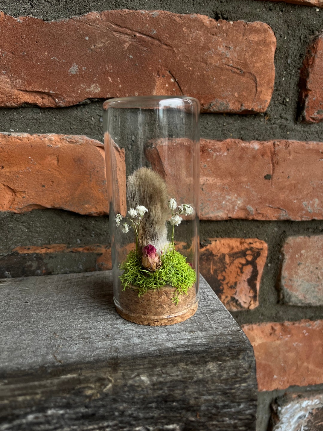 Lucky Rabbits Foot - Etsy