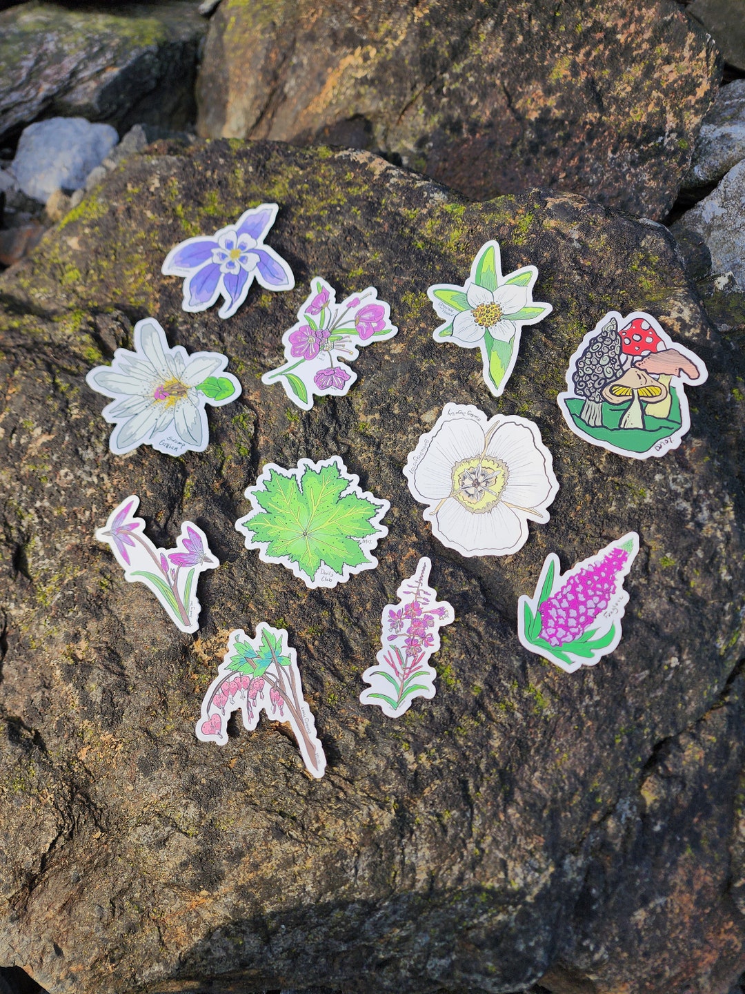 Alaska Water Bottle Decals Stickers Botanical Mushrooms Floral Vinyl ...