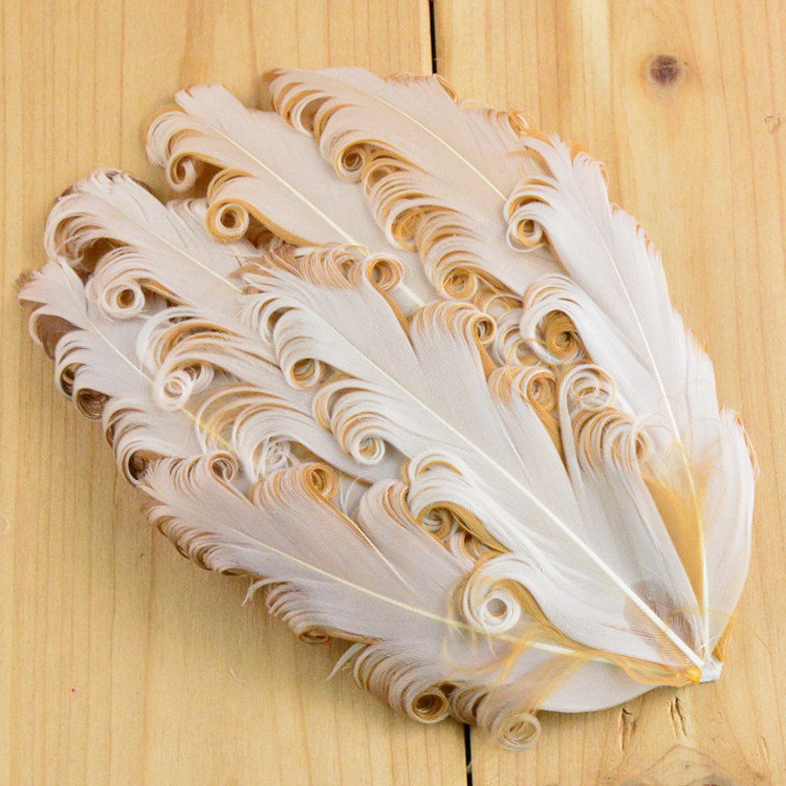 27 Color Options Curly Feathers Goose Feather Pad Feathers DIY - Etsy