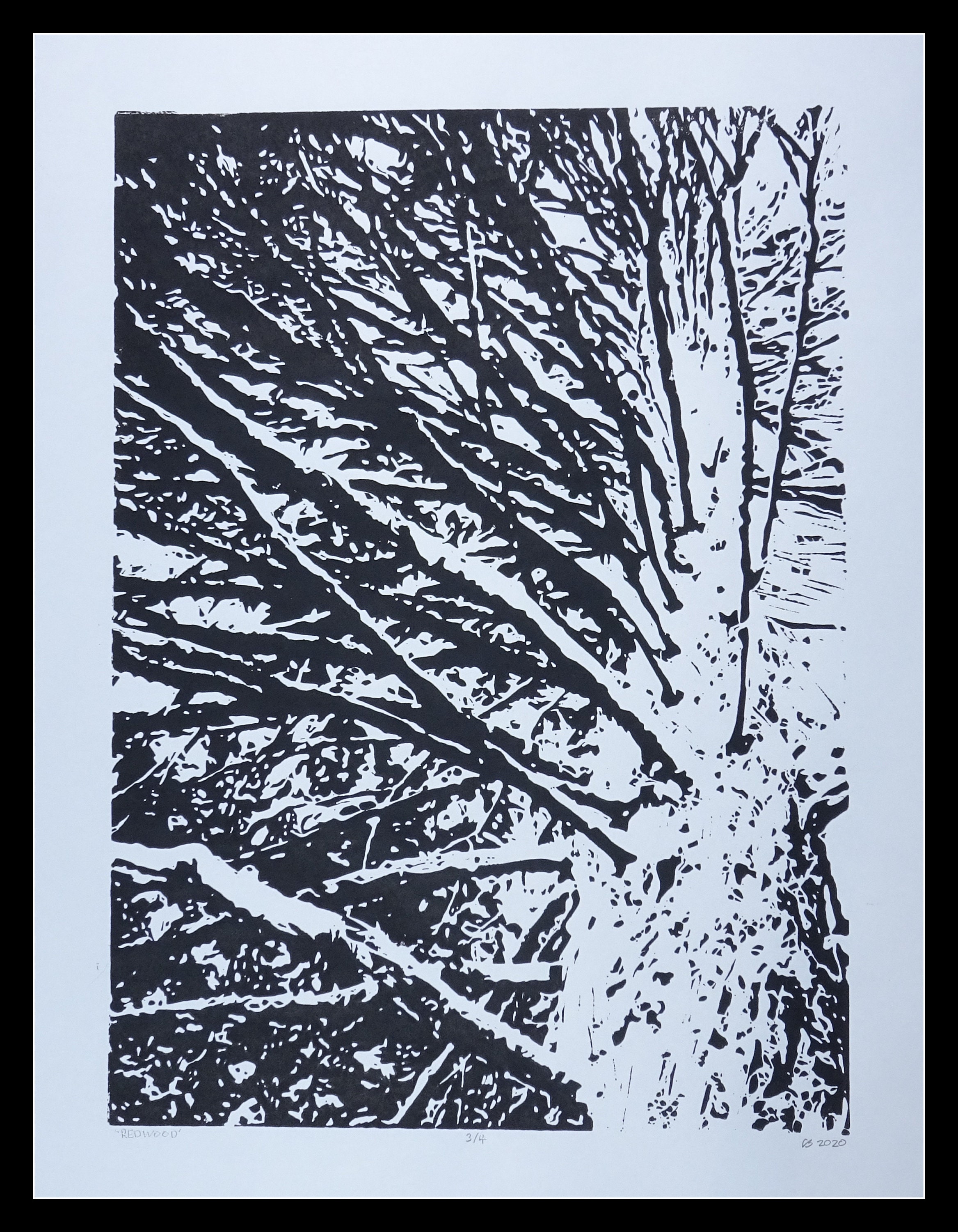 Old Growth Redwood Tree Linocut Print - Etsy