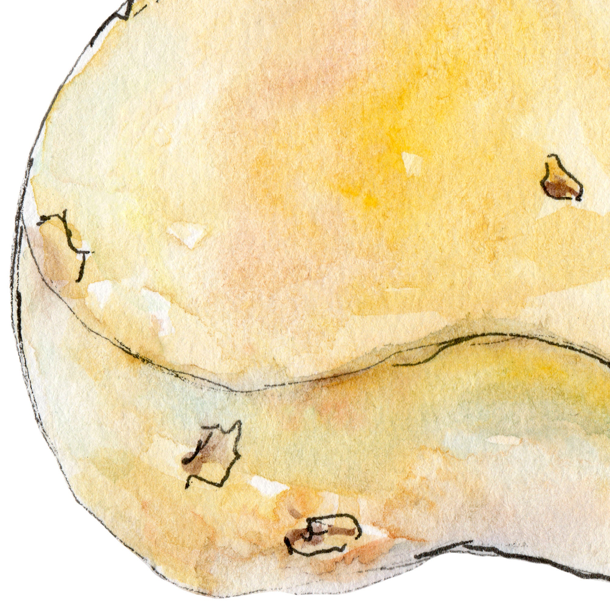 Cheese Clipart, Eco Food, Food Logo, Cheese Digital, Watercolor Cheese ...