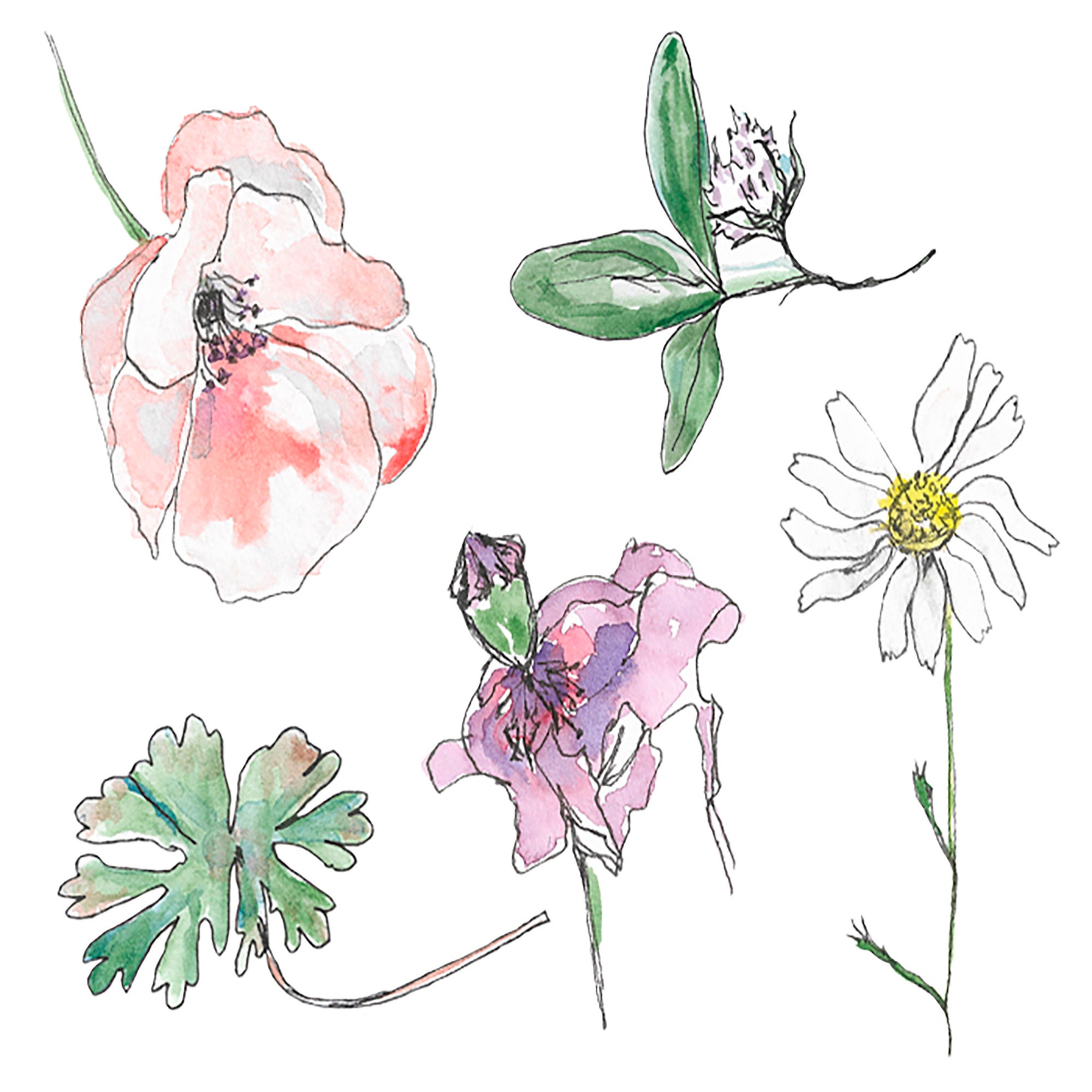 Floral Clipart Flower Watercolor Flowers Watercolor - Etsy