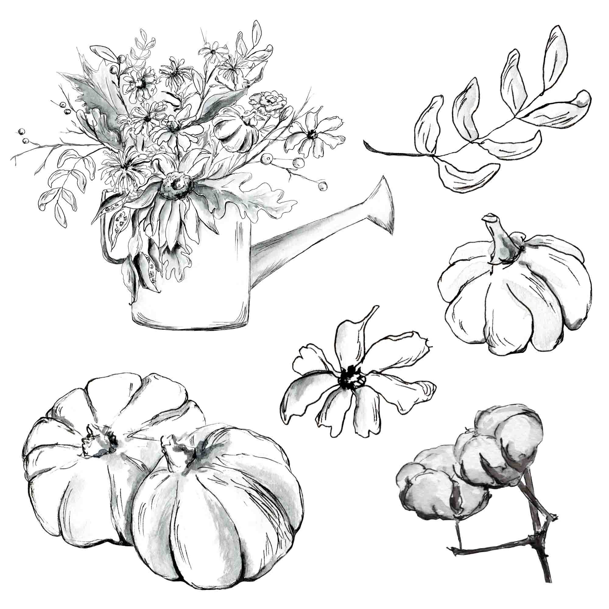 Black and White Autumn Cliparts With Flowers, Leaves and Pumpkins, Ink ...