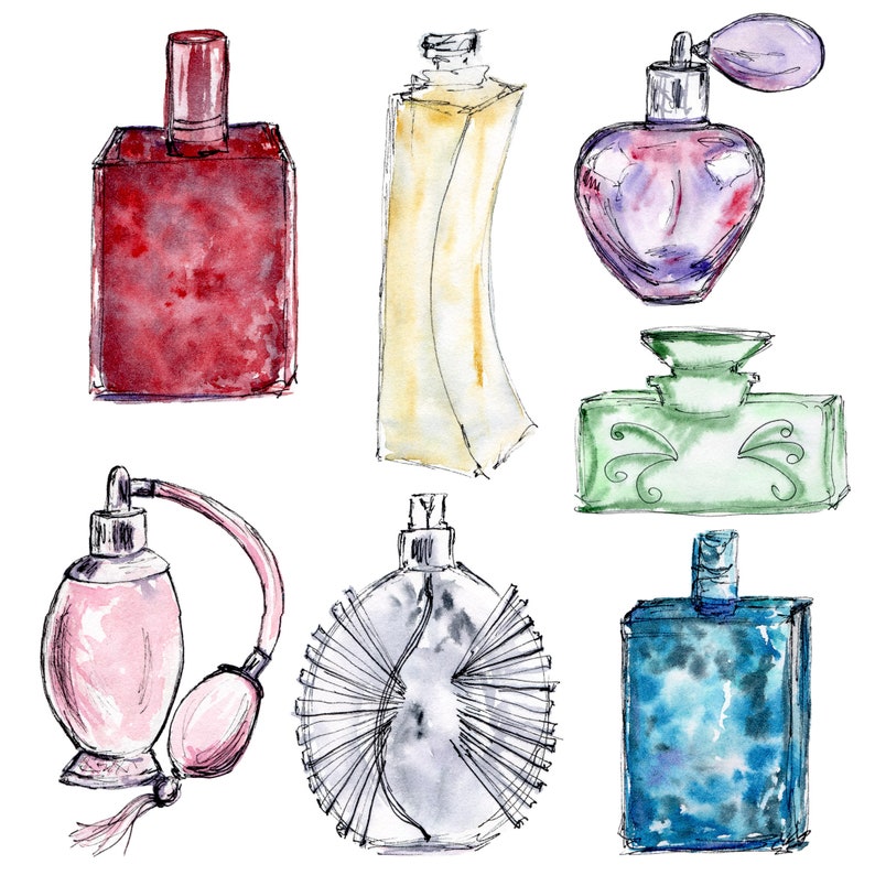 Hand Painted Perfume Bottle Clipart, Watercolor Clipart, Fashion ...