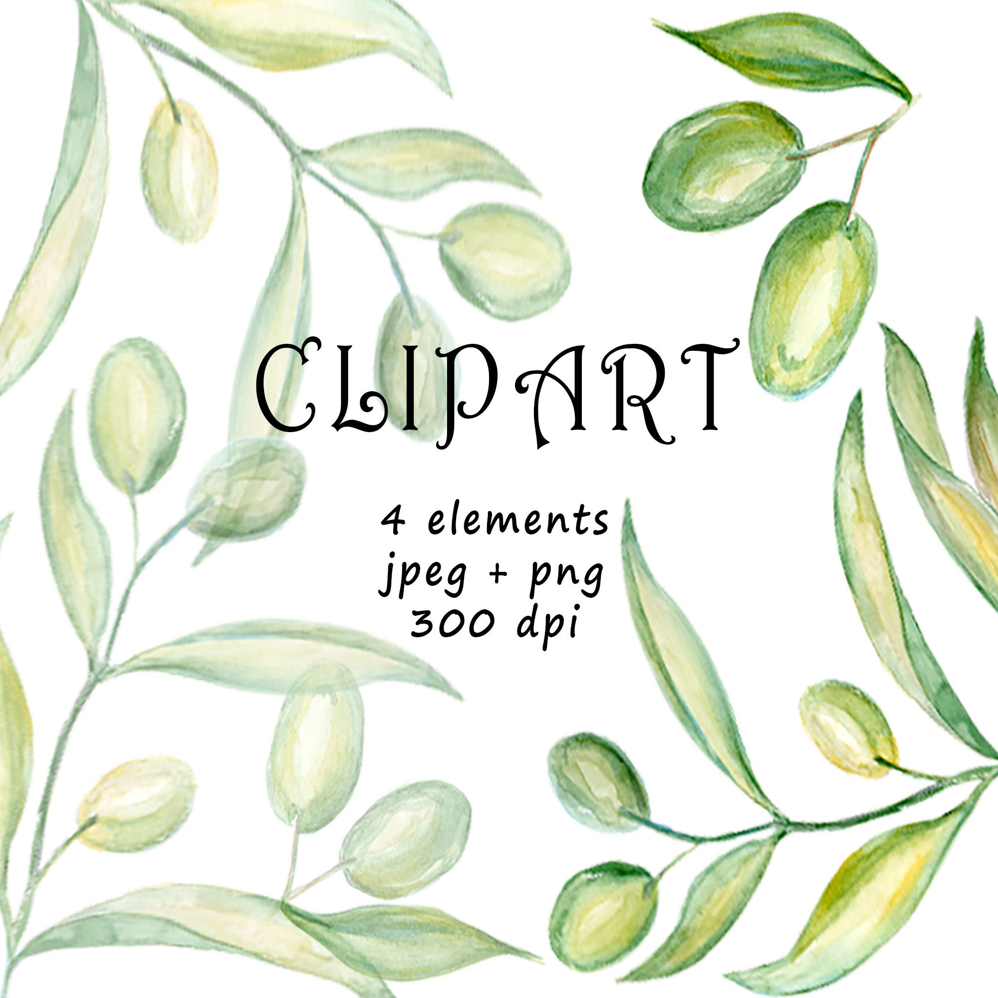 Olives Clipart, Watercolor Clipart, Watercolor Olives, Floral, Set ...