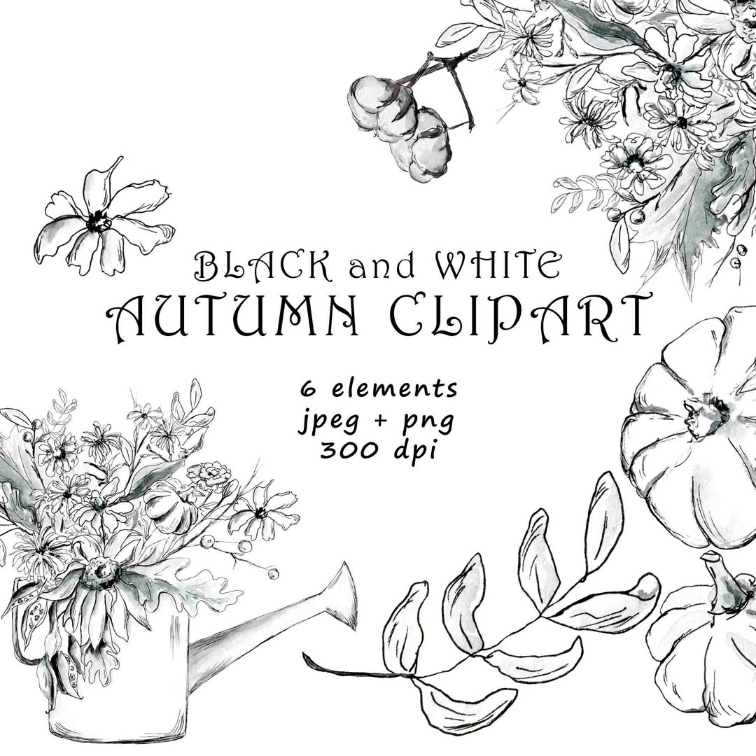 Black and White Autumn Cliparts With Flowers, Leaves and Pumpkins, Ink ...