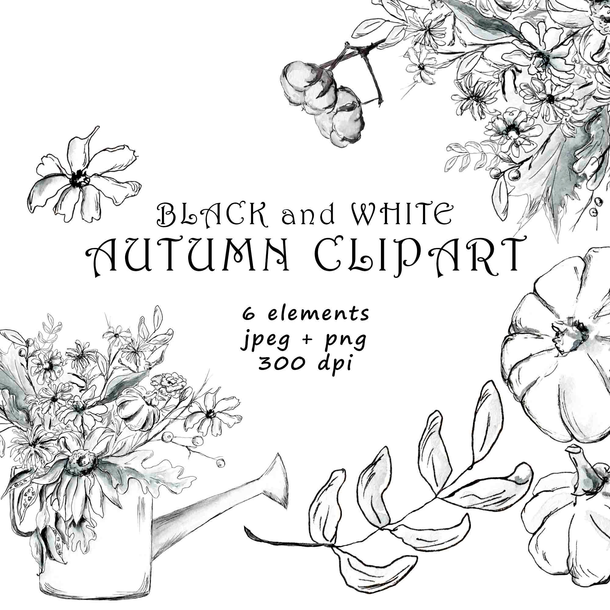 Black and White Autumn Cliparts With Flowers, Leaves and Pumpkins, Ink ...