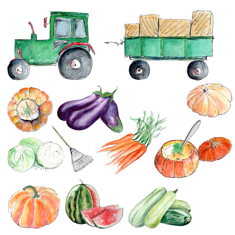 Fall Harvest Watercolor Clipart, Hand Drawn Harvest Image, Happy ...
