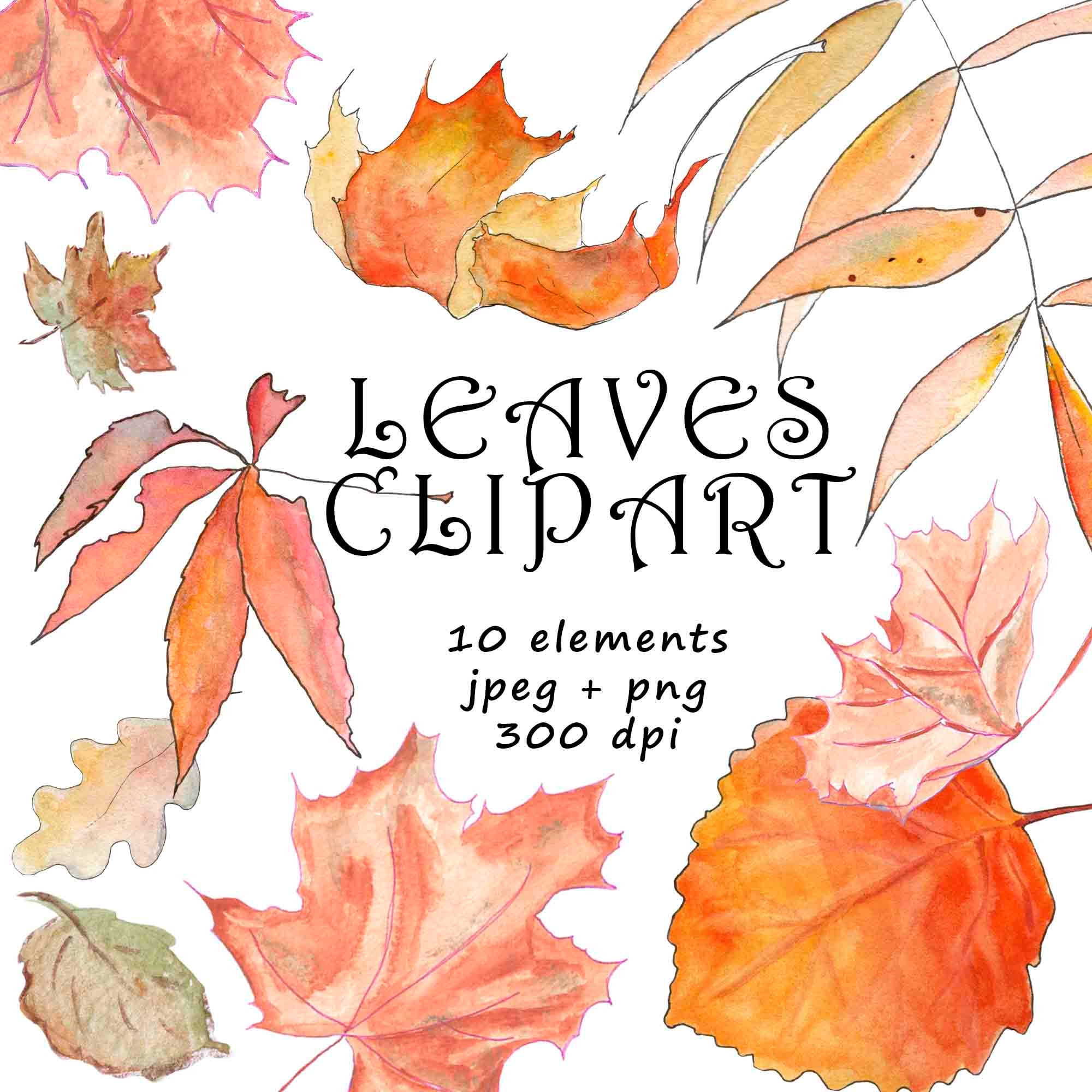 Autumn Leaves Hand Drawn Watercolor Clipart, Maple Leaf, Autumn Colors ...
