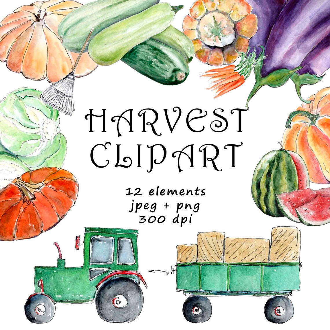 Fall Harvest Watercolor Clipart, Hand Drawn Harvest Image, Happy ...