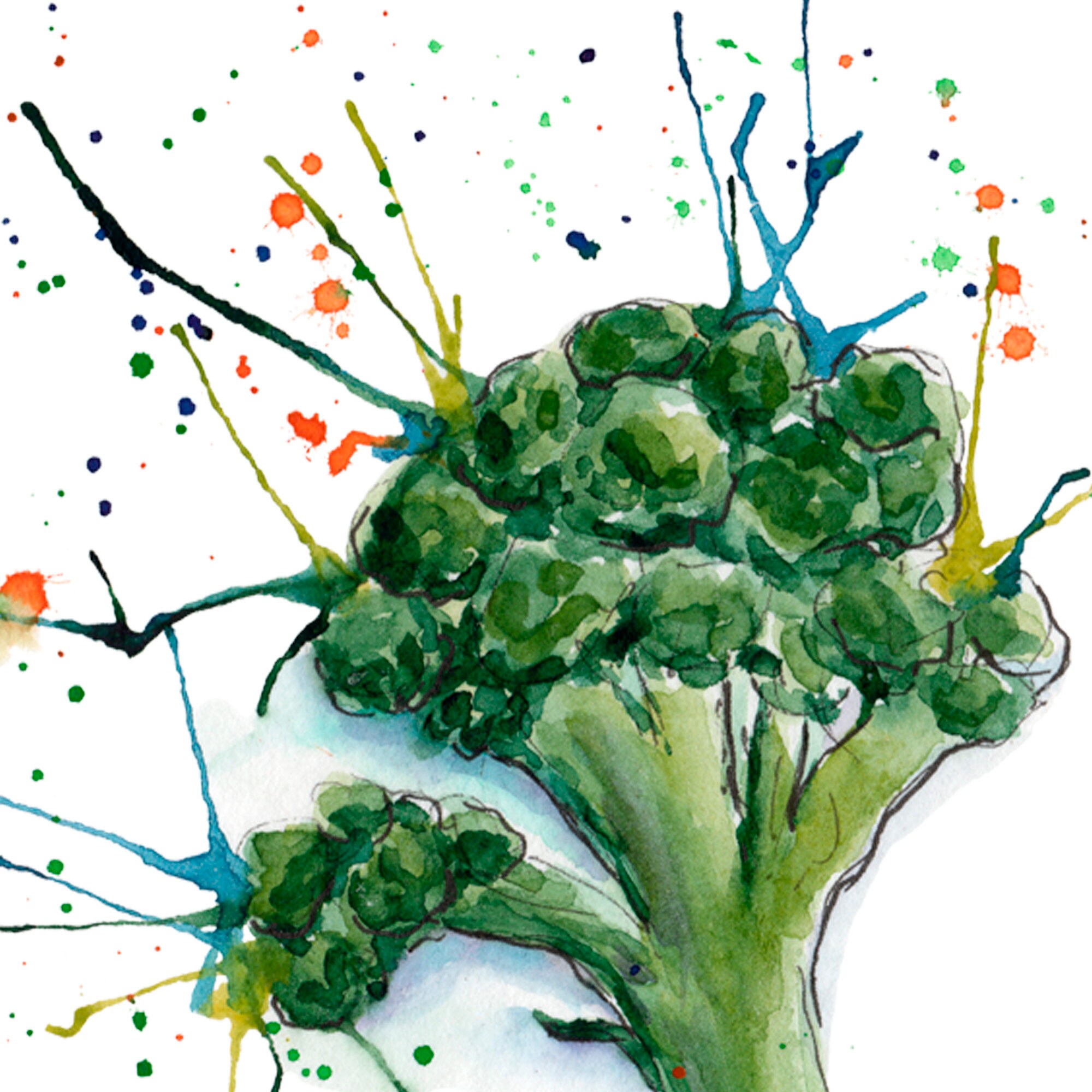 Vegetables Clipart, Watercolor Clipart, Cookbook, Vegan Clipart ...