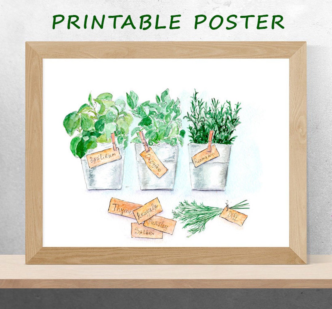 Kitchen Herbs Prints, Printable Watercolor Kitchen Poster, Hand Drawn ...