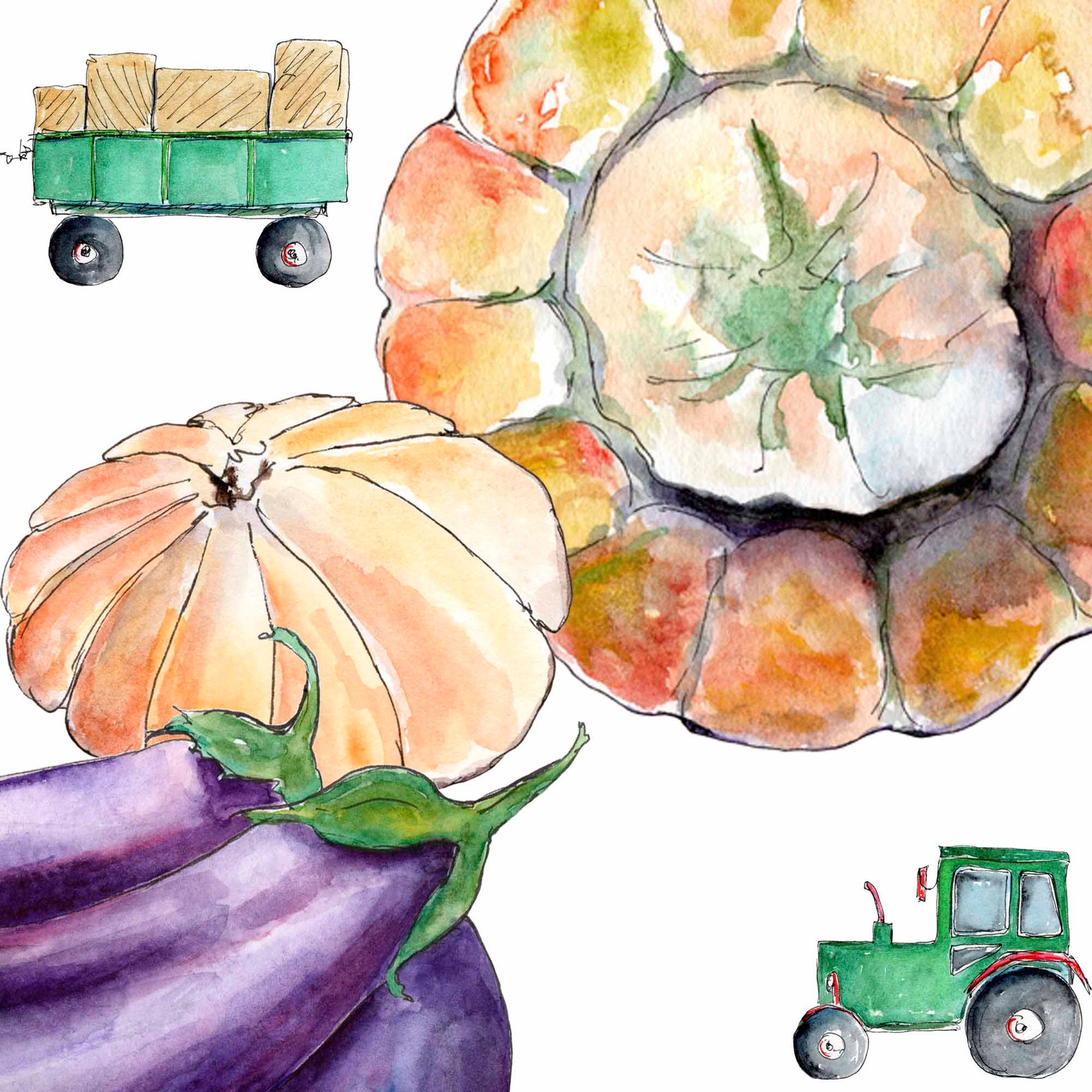 Fall Harvest Watercolor Clipart, Hand Drawn Harvest Image, Happy ...