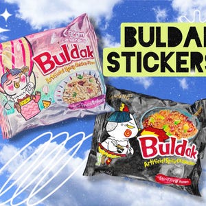 Buldak Noodles Art - Etsy