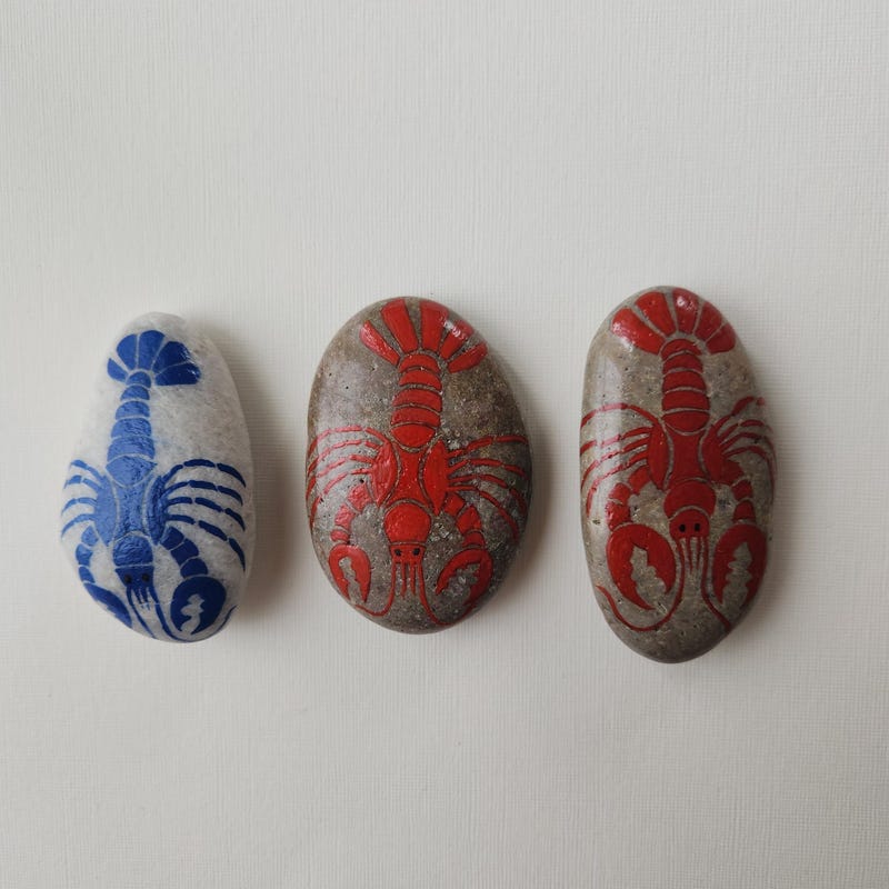 Painted Pebble - Etsy