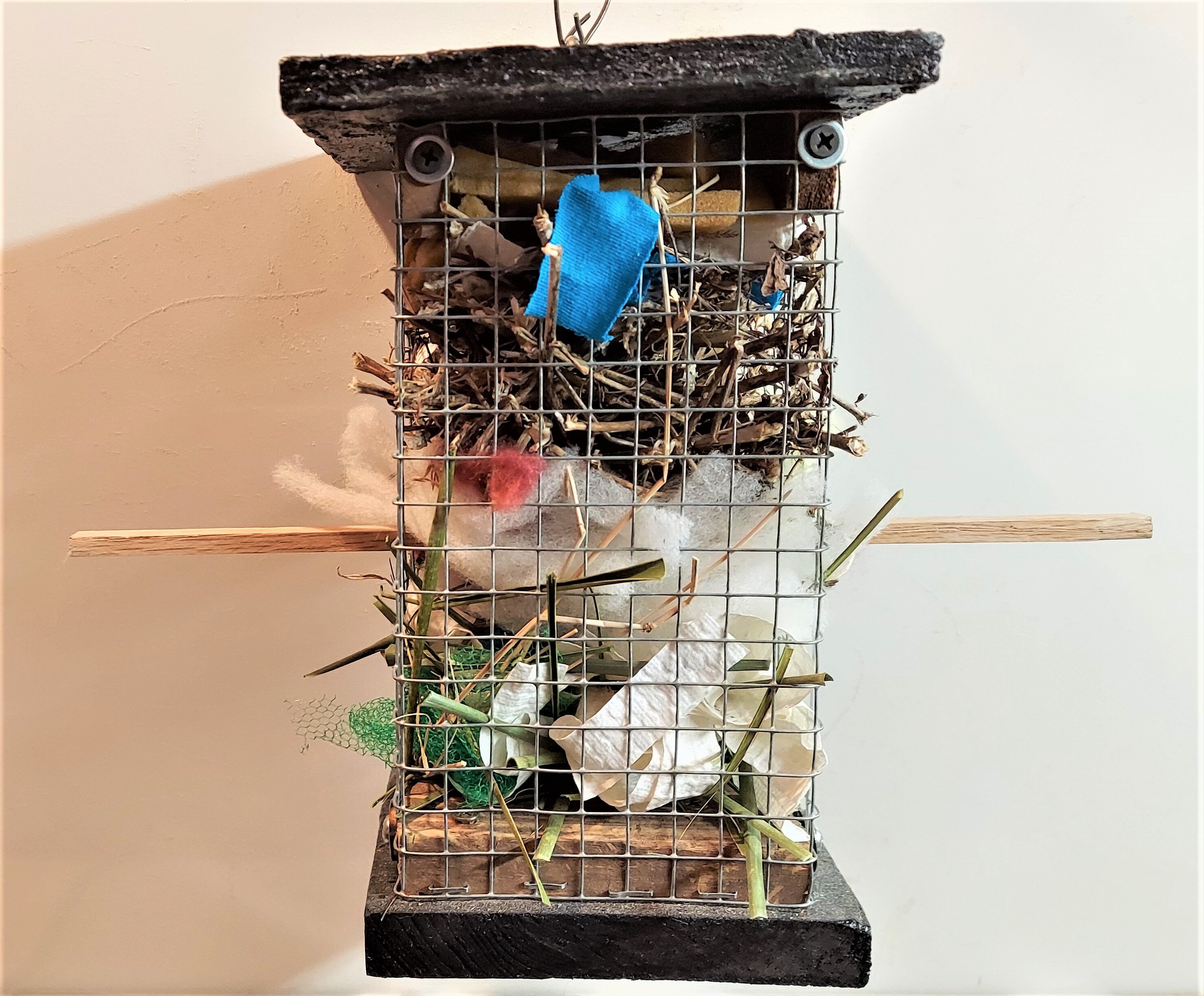 Nesting Materials - Cones, Boxes & Houses - Quirky Birdhouses - Provide ...