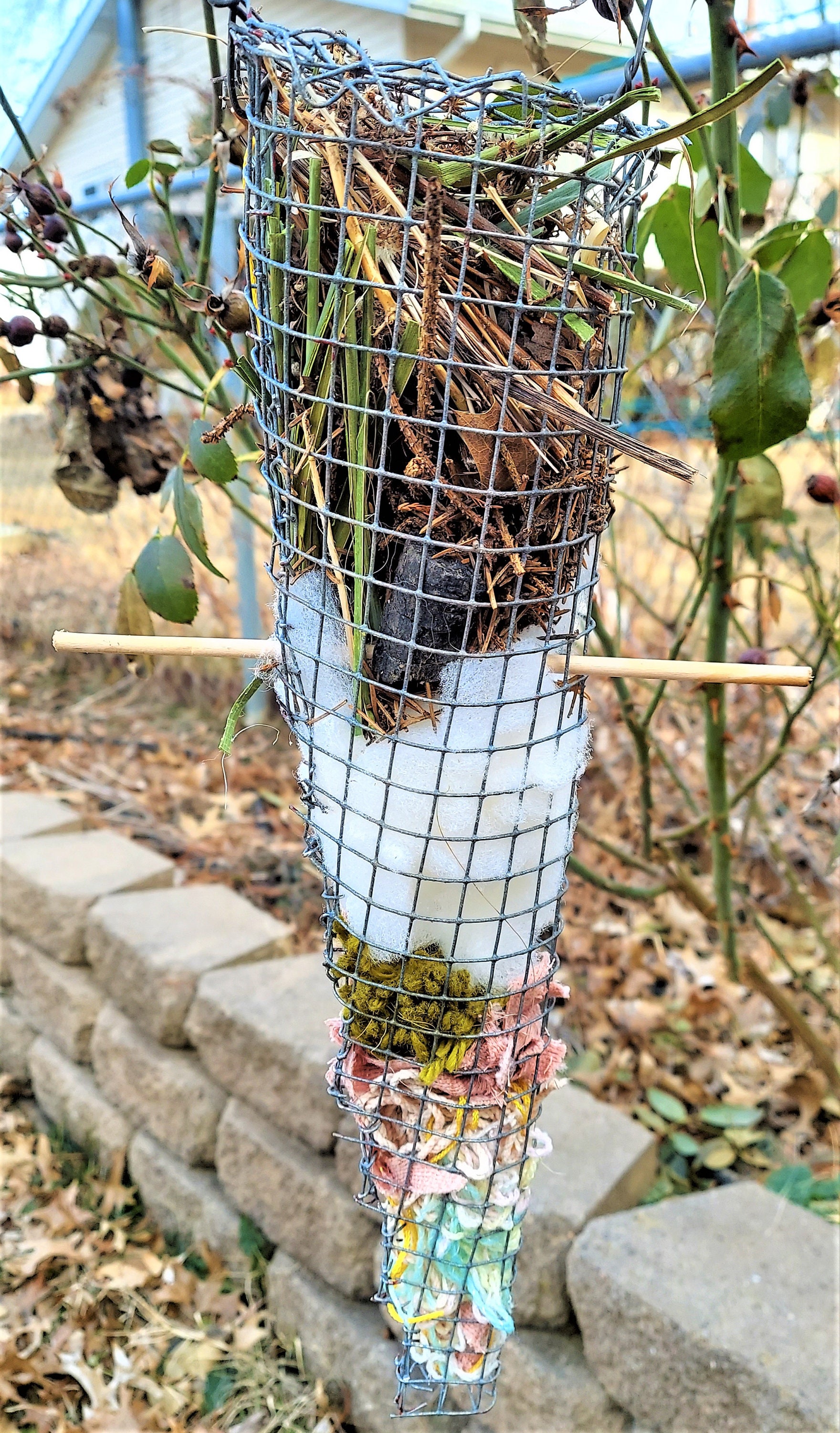 Nesting Materials - Cones, Boxes & Houses - Quirky Birdhouses - Provide ...